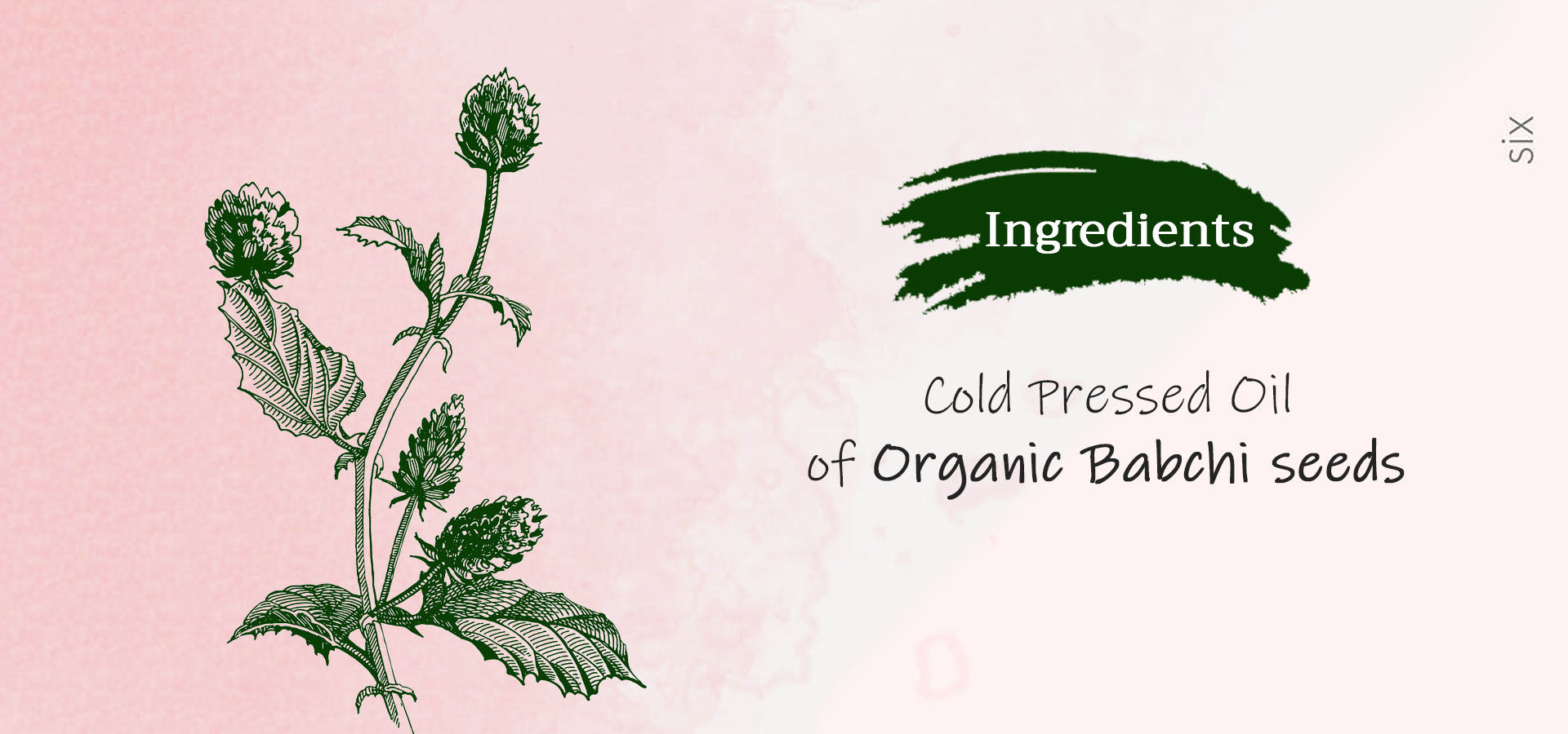 Combat Skin Issues: Best Organic Babchi Oil for Psoriasis, Eczema ...