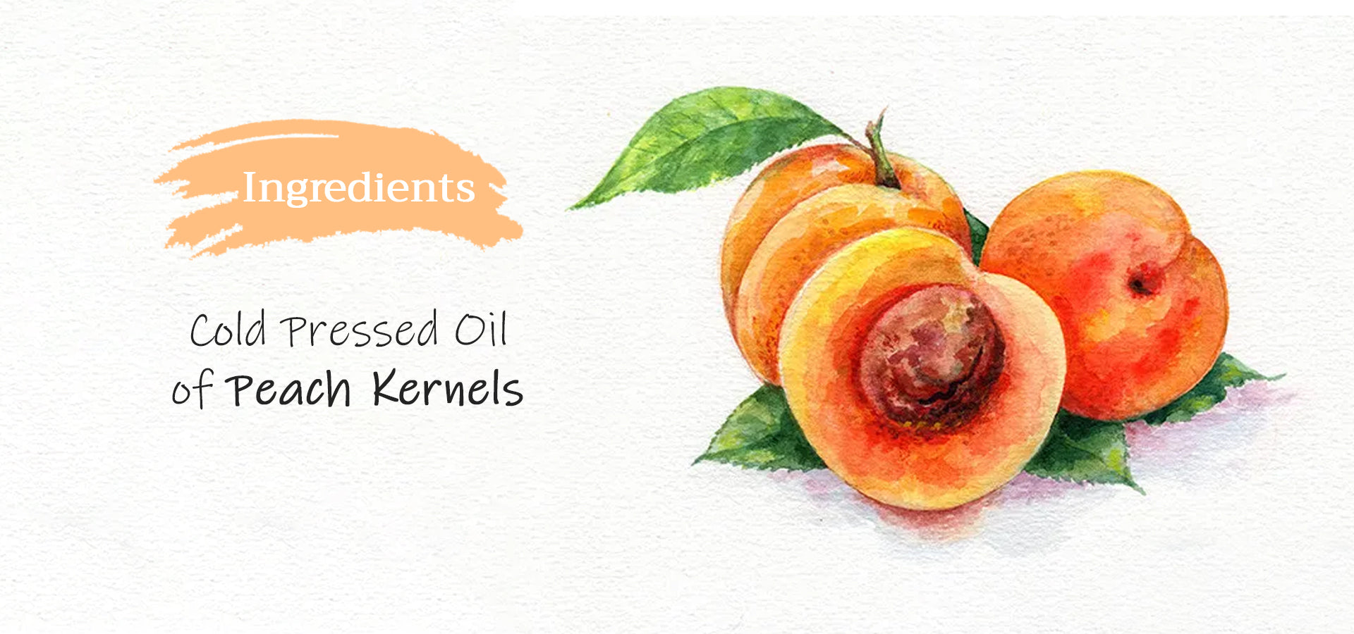 Peach Kernel Oil Benefits: Flawless Skin, Anti-Aging Glow, Hair Growth ...