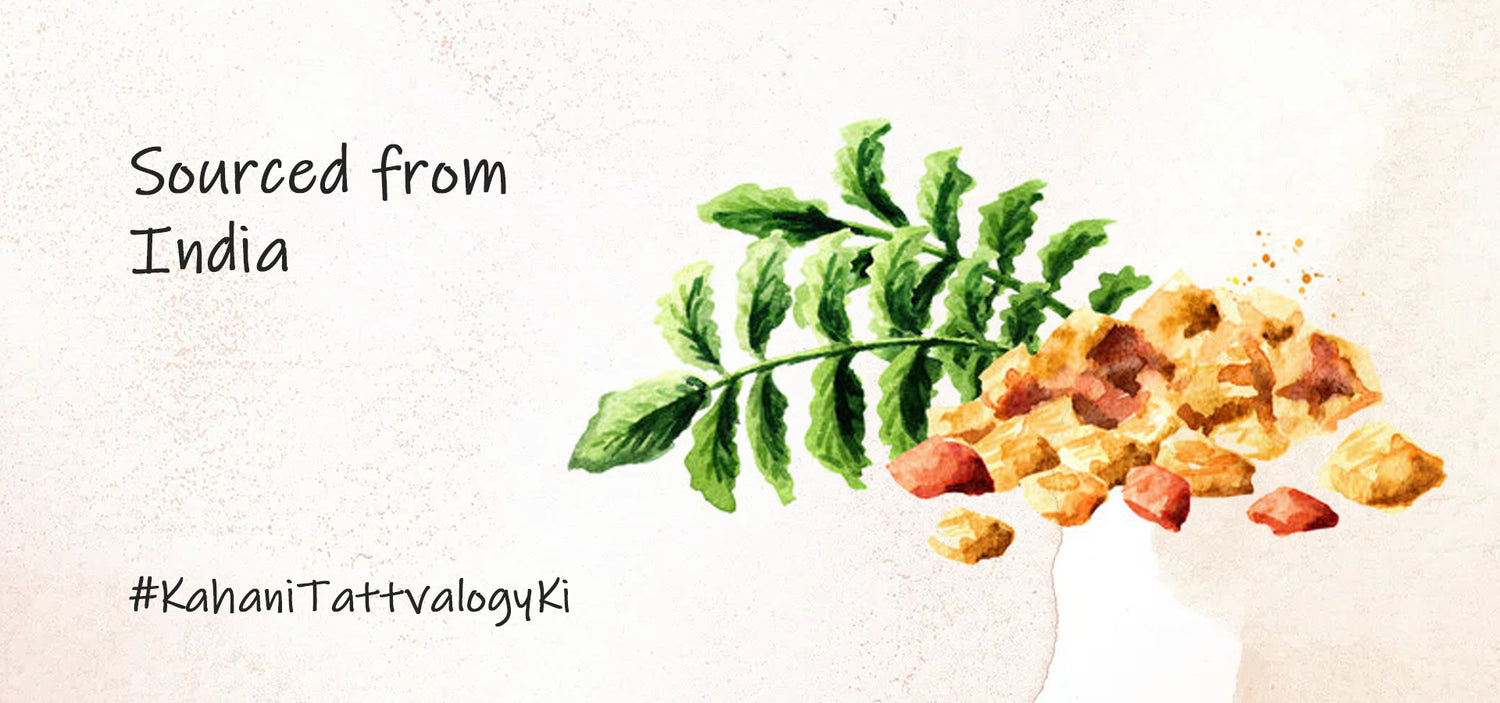Tattvalogy Frankincense Oil: Ancient Wisdom for Wellness, Calm & Radiance
